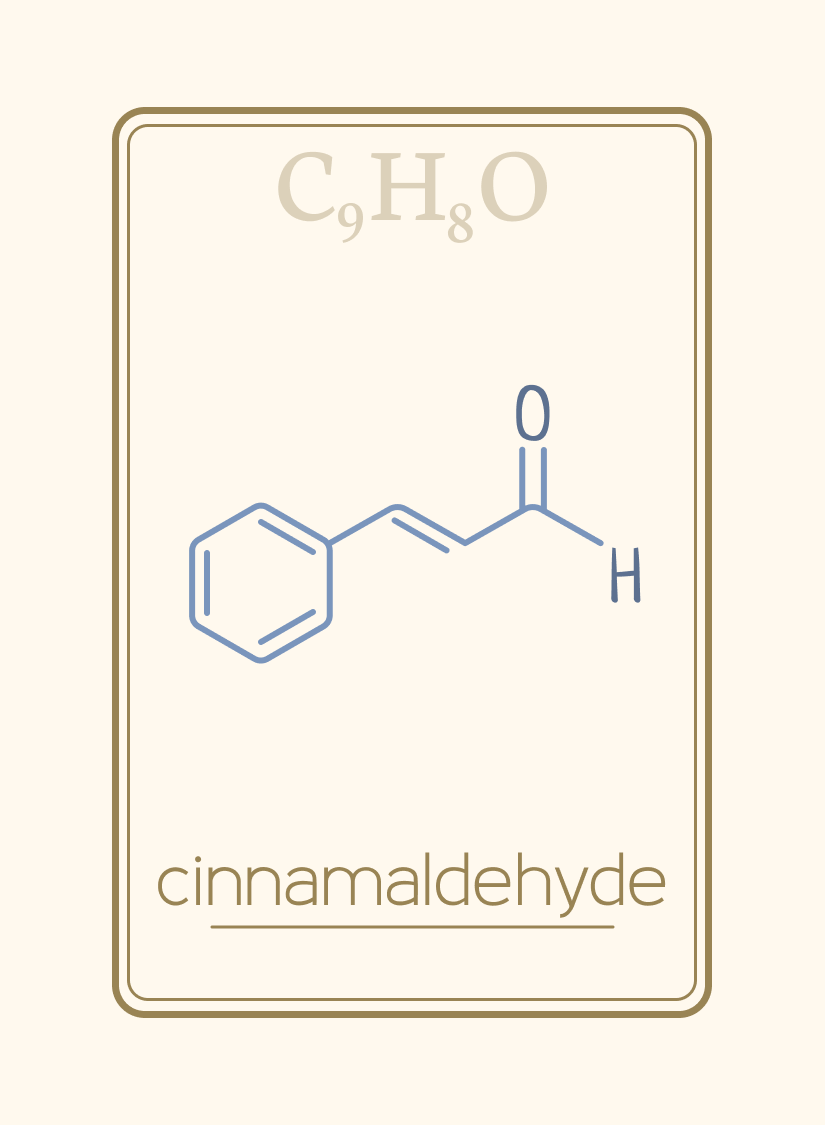 Chem Cards | Marina Espinoza